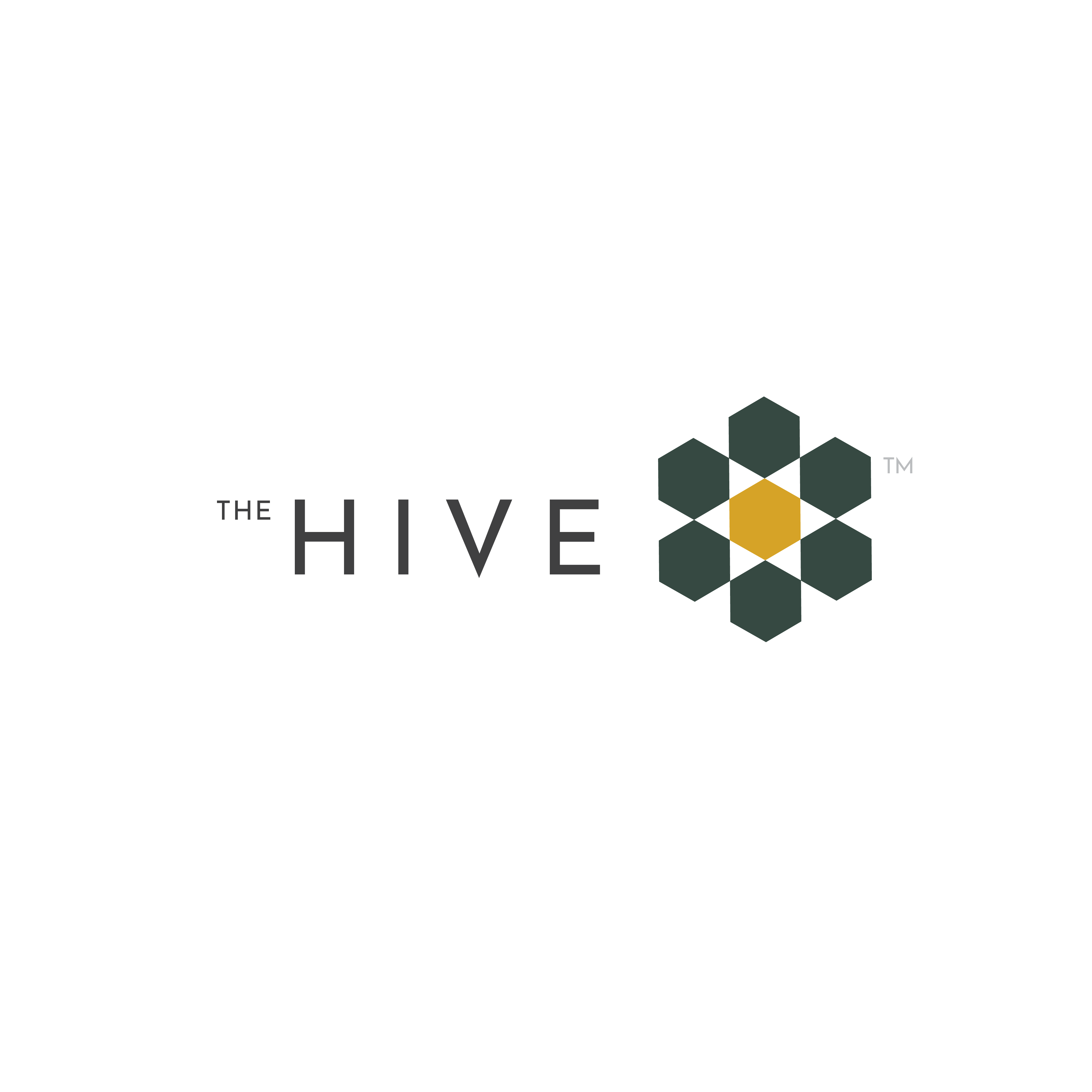 The HIVE | Spaces